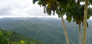 Puerto Rico Mountains – Simply Norma