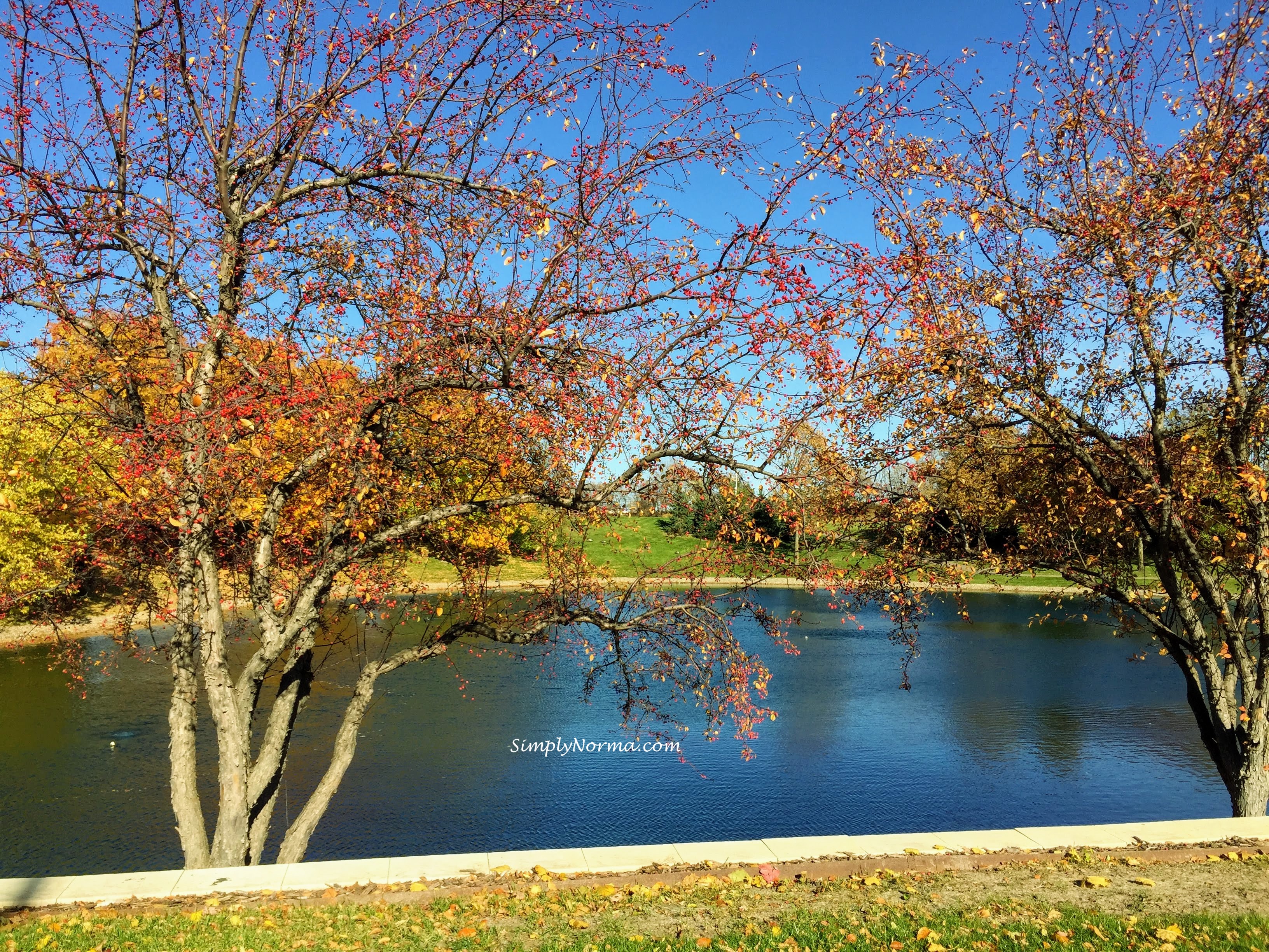 Autumn in Minnesota – Simply Norma